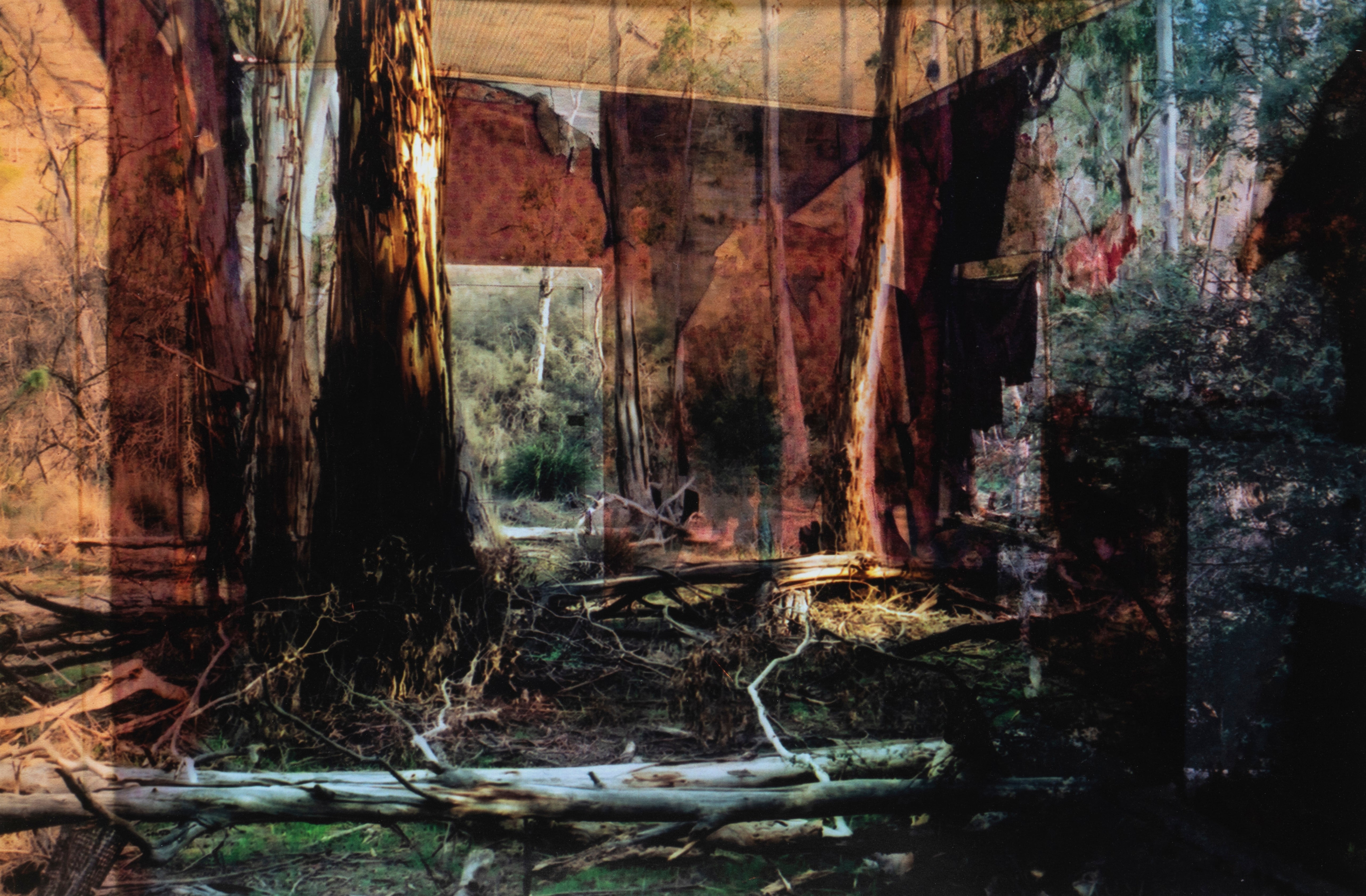 Australian Gothic – Art and Collectors