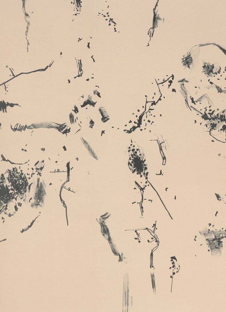 Fred Williams – Art and Collectors