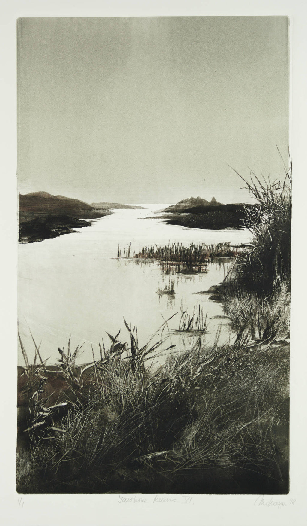 Marketa Kemp 'Jawbone Reserve XI' – Art and Collectors