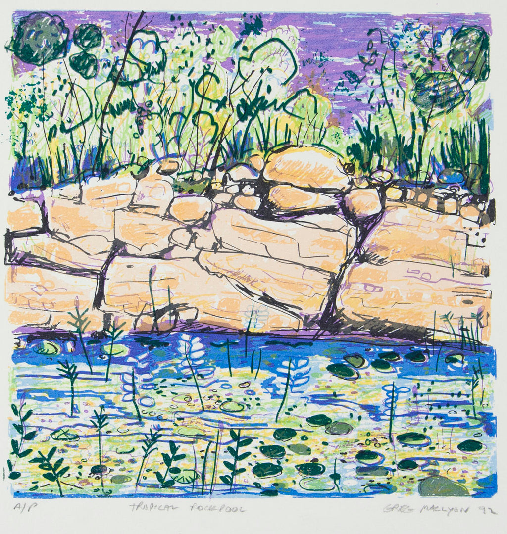 Greg Mallyon 'Tropical Rockpool' – Art and Collectors