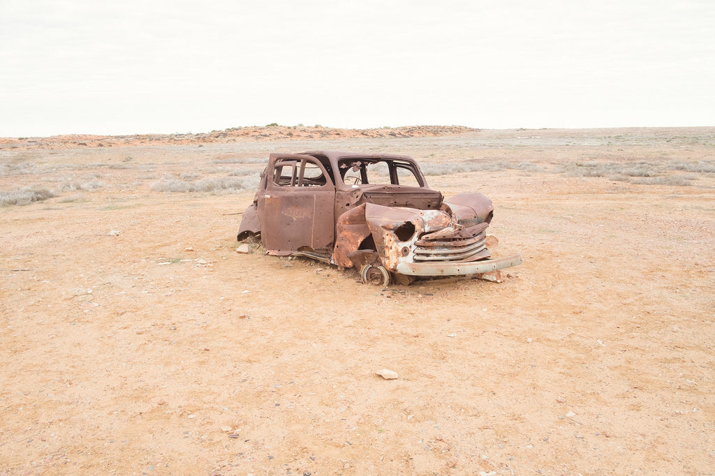 Christopher Rimmer 'Nature Always Wins in the End' – Art and Collectors