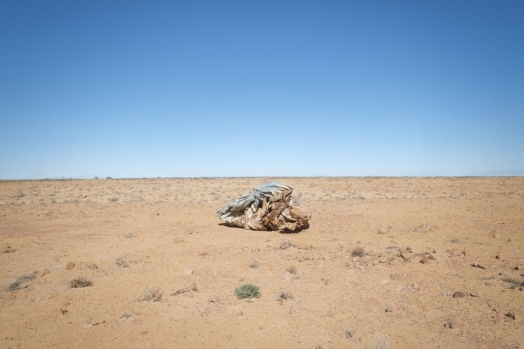 Christopher Rimmer 'Thirstland' – Art and Collectors