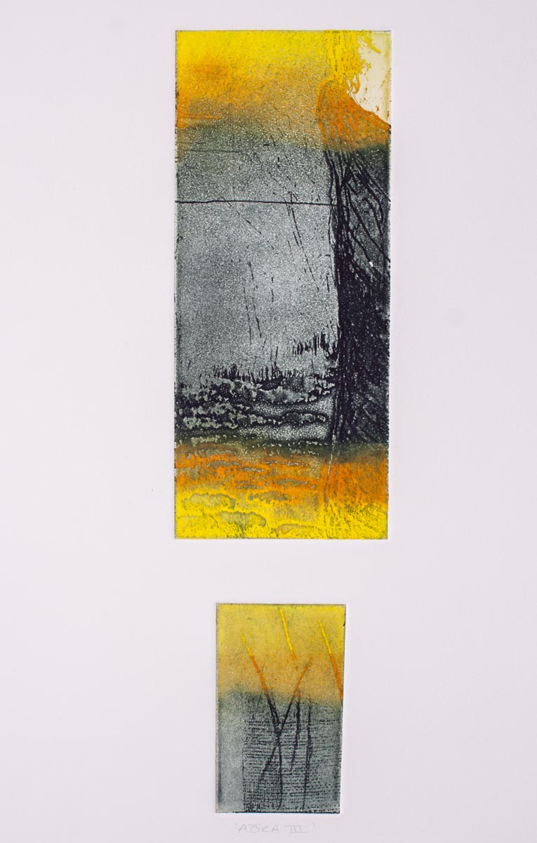 Gaye Ellis 'Aora III' – Art and Collectors